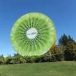 Isoft | Custom Software, Mobile Apps & Website Solutions